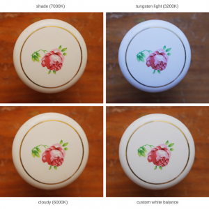 5 Essential Tips to Take Great Product Shots