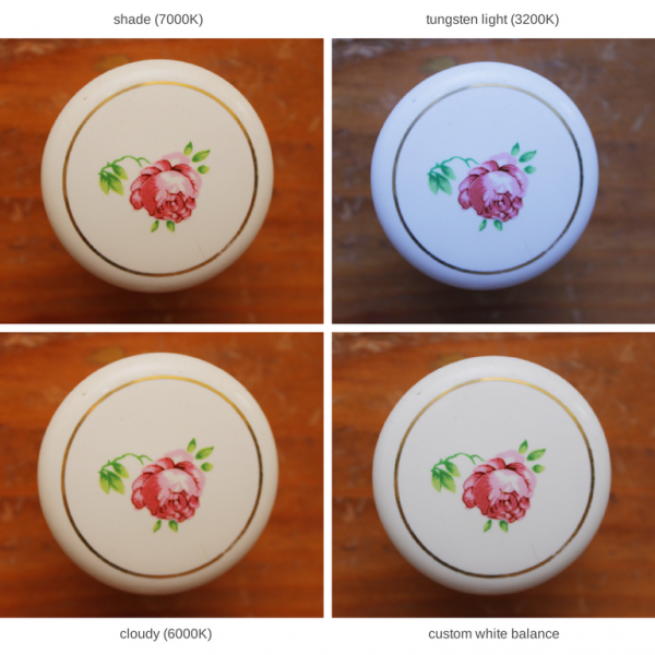 5 Essential Tips to Take Great Product Shots