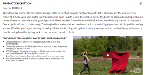 5 Ways to Write Product Descriptions For Your eCommerce Store